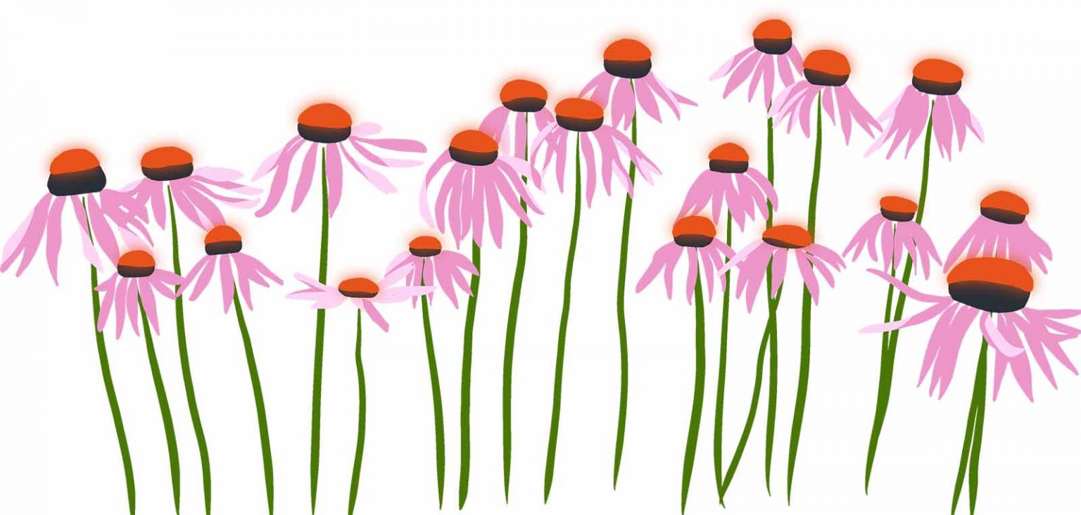 Beginner Mead Making How To Book with recipes and guide - Doin' the ...